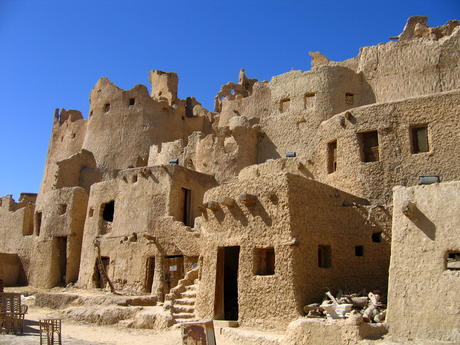 SIWA: THE FIELD OF TREES